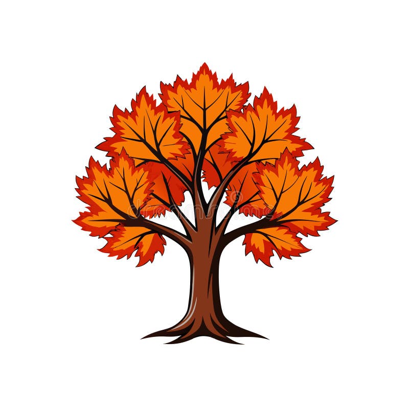 Sugar Maple Tree Stock Illustrations – 756 Sugar Maple Tree Stock ...