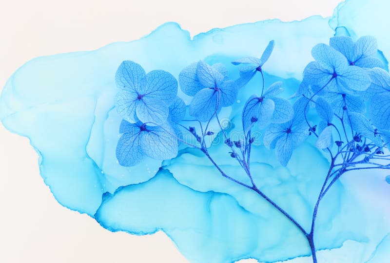 Creative Image of Blue Hydrangea Flowers on Artistic Ink Background ...