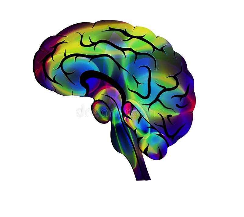 The Creative Image of the Brain. Color Icon. Stock Vector ...