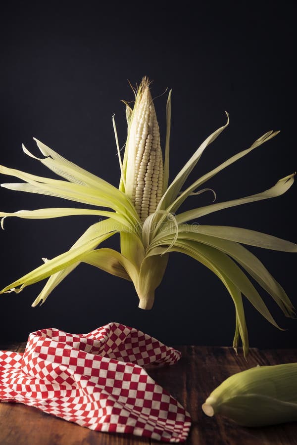 The Corn Portrait stock image. Image of ears, meals - 240576099