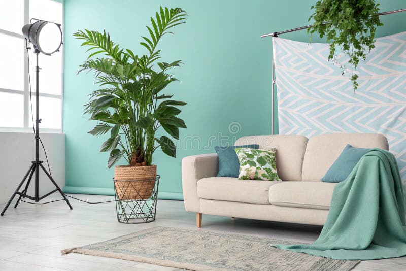 Creative Green Studio with Plant and Sofa Stock Illustration ...
