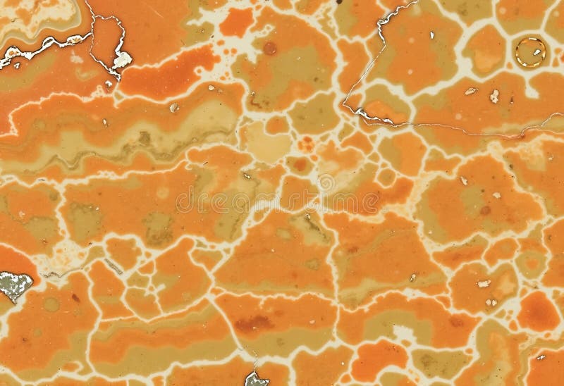 Jasper 39aph39's Stock Illustrations – 12 Jasper 39aph39's Stock ...