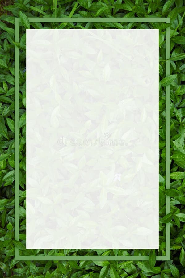 Creative Layout Composition Frame of Juicy Green Leaves with Beautiful ...