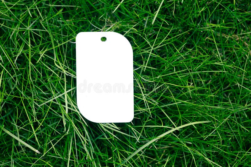 Creative Layout Composition Frame Made of Green Grass Lawn with One ...