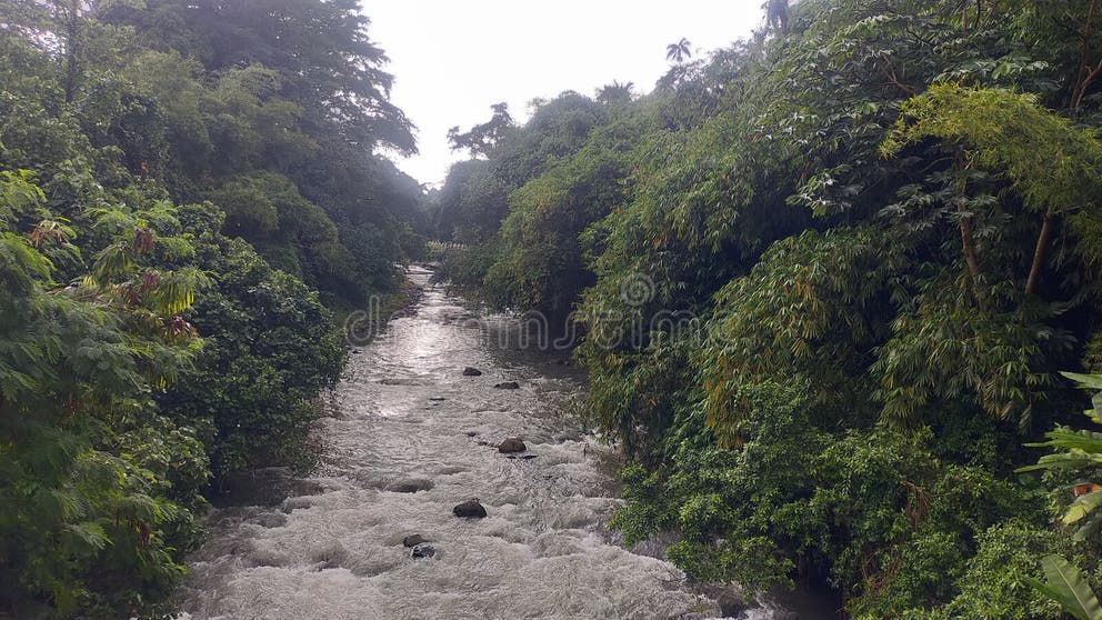 Creative Layout Consisting of the Ciliwung River Passing through the ... Creative Layout Consisting of the Ciliwung River Passing through the ...