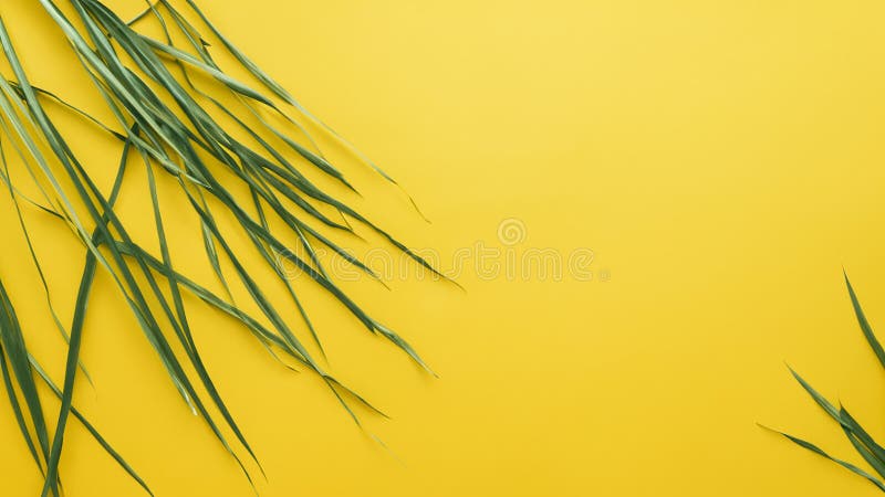 Creative Layout Design of Grass on Yellow Background with Copy Space ...