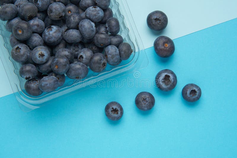 Creative Layout Made of Blueberry on Blue Background Stock Image ...