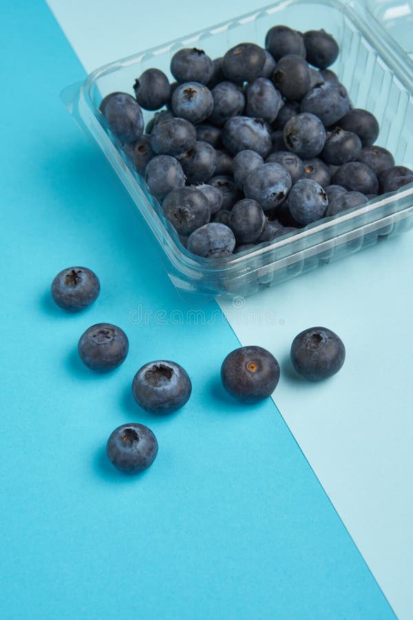 Creative Layout Made of Blueberry on Blue Background Stock Photo ...