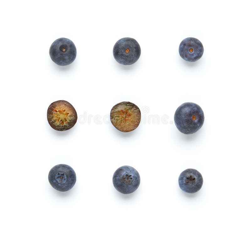Creative Layout Made of Blueberry Isolated on White Background Stock ...