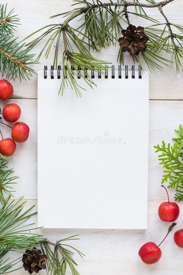 Creative Layout Made of Christmas Tree Branches with Paper Card Note ...