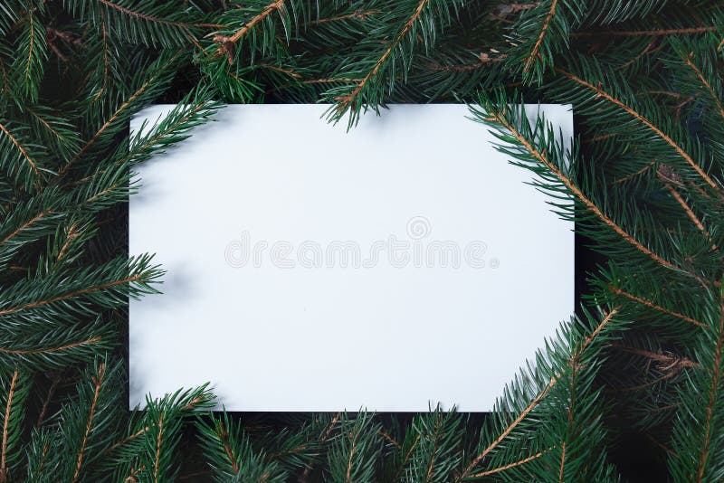 Creative Layout Made of Christmas Tree Branches with Paper Card Note ...