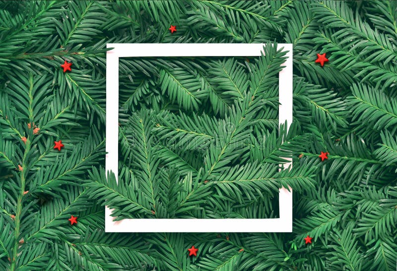 Creative Layout Made of Christmas Tree Branches with Paper Card Note ...