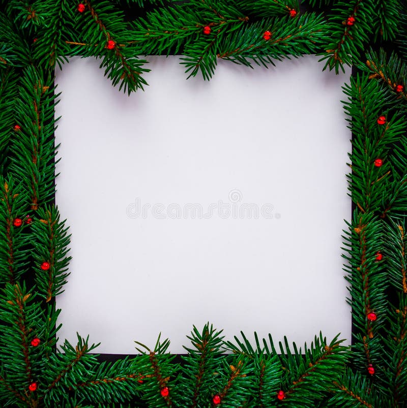 Creative Layout Made of Christmas Tree Branches with Paper Card Note ...