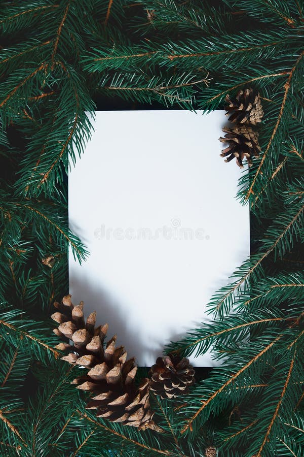 Creative Layout Made of Christmas Tree Branches with Paper Card Note ...
