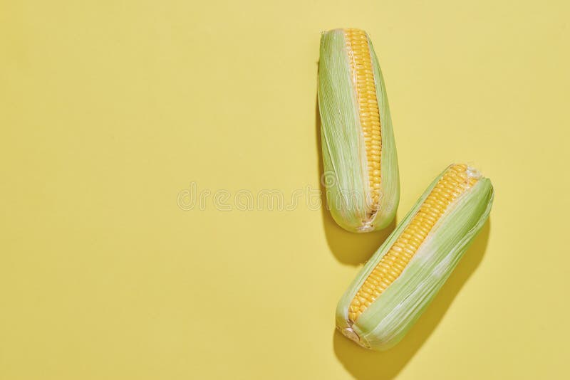 Creative Layout Made of Corn. Flat Lay Stock Image - Image of fresh ...