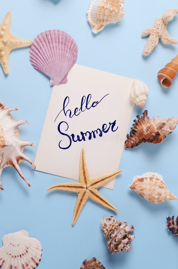 Creative Layout Made of Different Colorful Seashells and Greeting Card ...