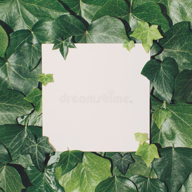Creative Layout Made of Green Leaves. Flat Lay Stock Image - Image of ...