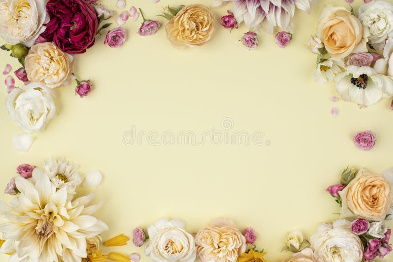 167 Vanilla Leaf Frame Stock Photos - Free & Royalty-Free Stock Photos ...