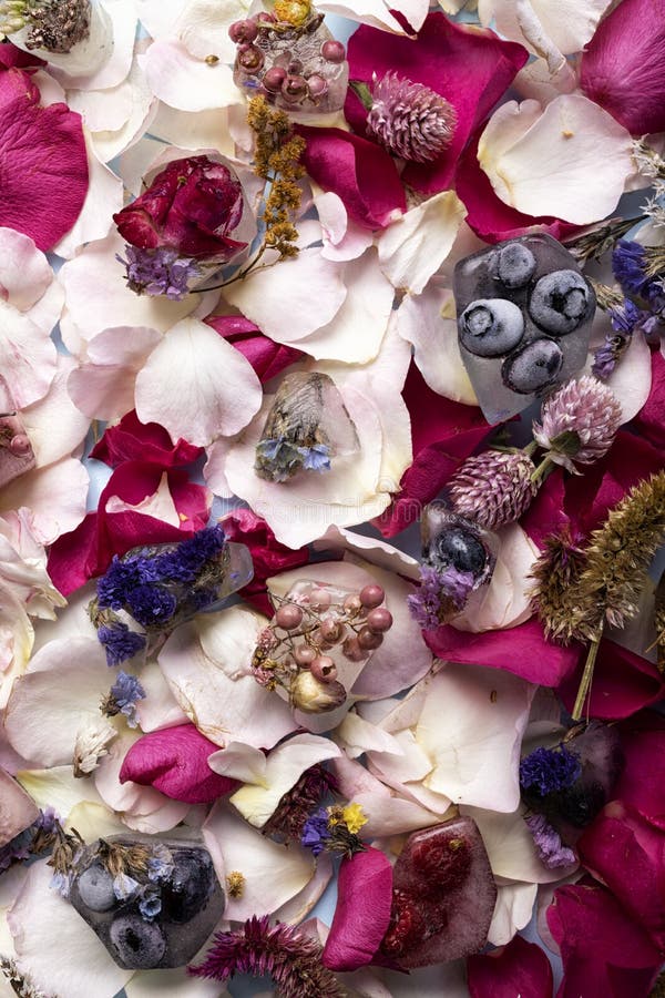 Creative Layout Made with Fruit Ice Cubes, Organic Berries and Dried ...