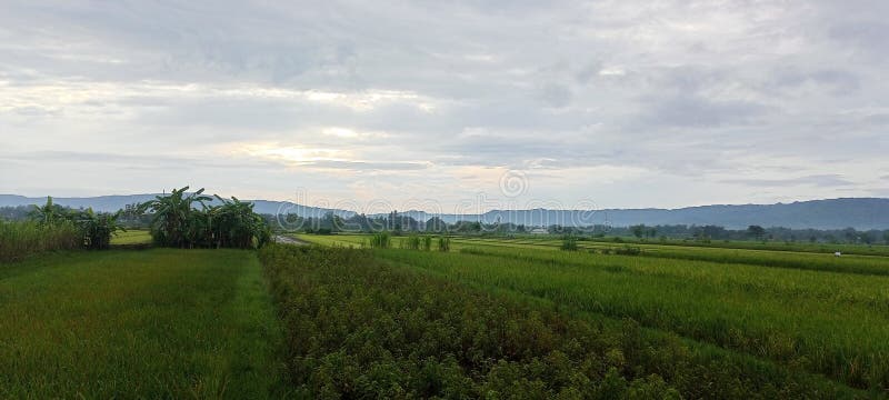 Creative Layout Made of Green Fields. Lay Flat Stock Photo - Image of ...