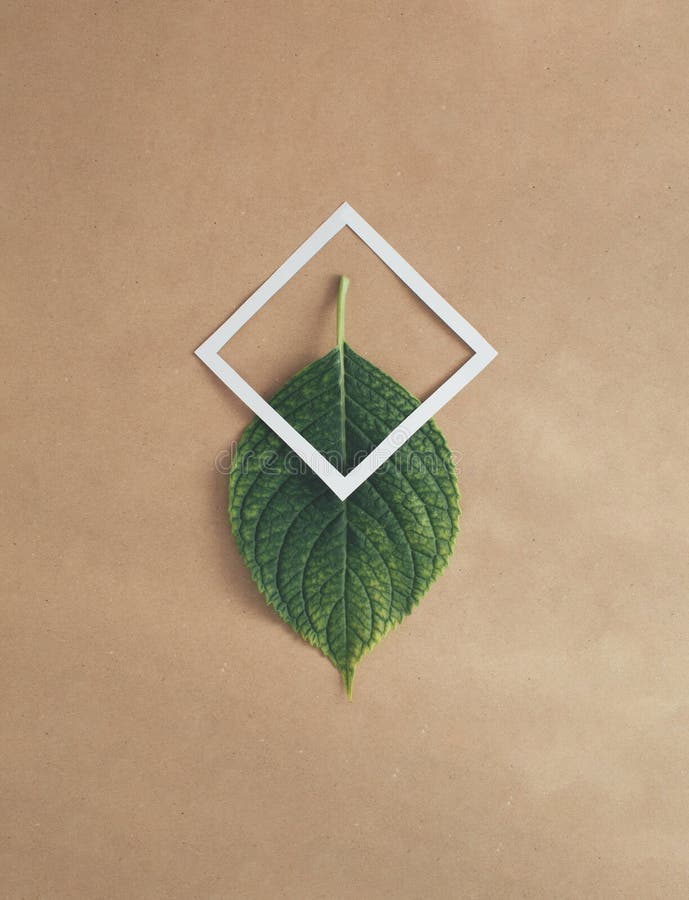 Creative Layout Made of Green Leaves. Flat Lay Stock Image - Image of ...