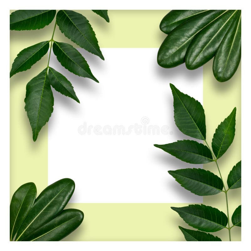 Creative Layout Made of Leaves with Paper Card Note. Stock Illustration ...