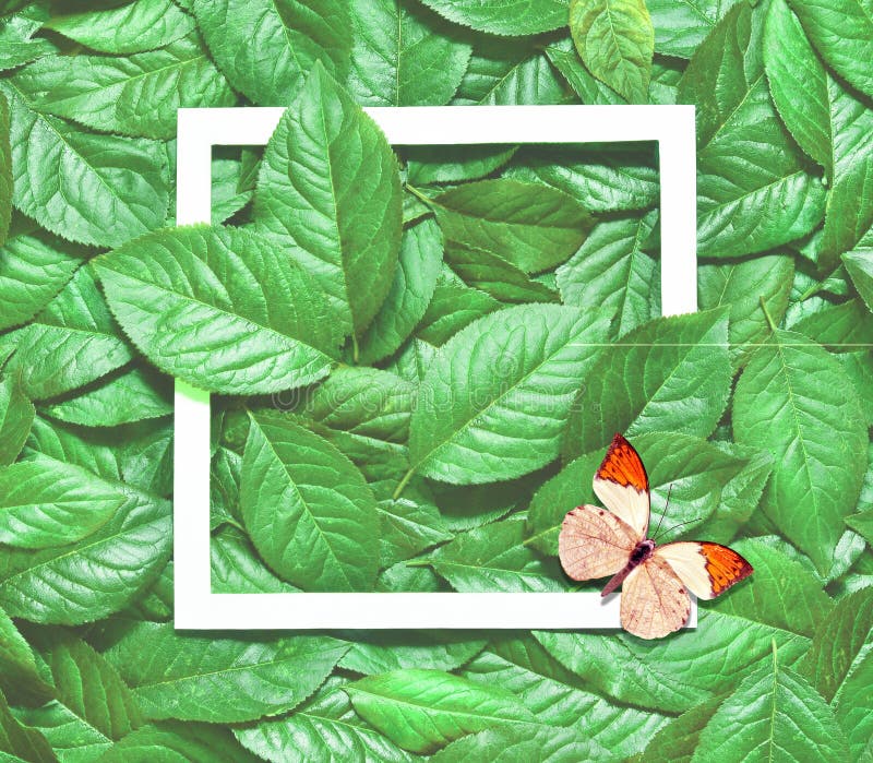 Creative Layout Made of Leaves with Paper Card Note. Flat Lay. Nature ...
