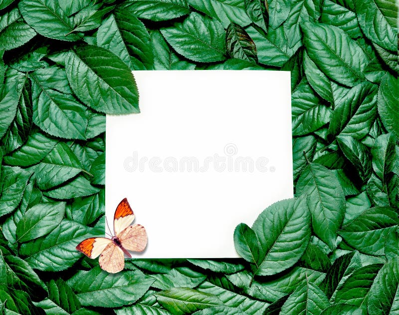 Creative Layout Made of Leaves with Paper Card Note. Flat Lay. Nature ...