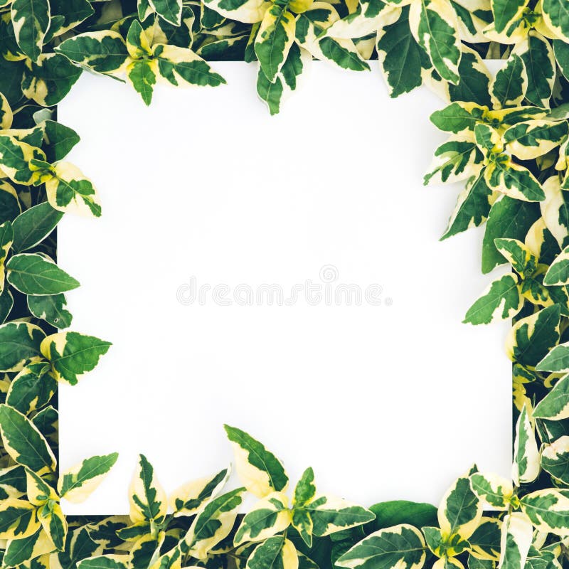 Creative Layout Made of Leaves with Paper Card Note. Flat Lay. Nature ...