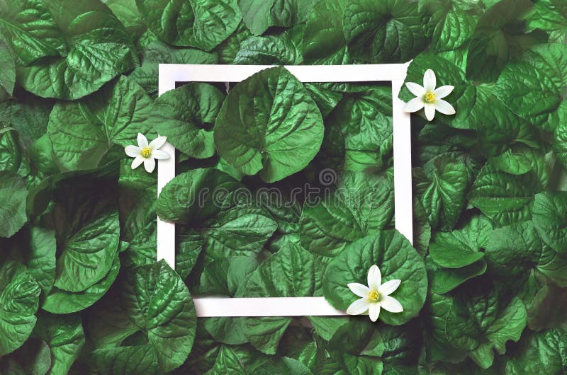 Creative Layout Made of Leaves with Paper Frame. Flat Lay. Nature ...