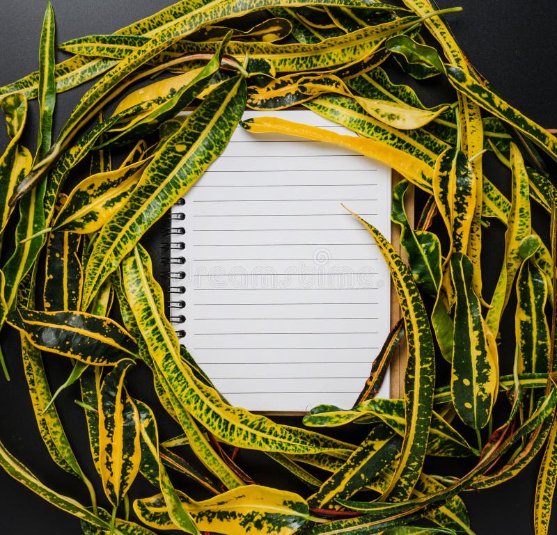 Creative Layout Made of Leaves with Paper Note Book. Stock Image ...