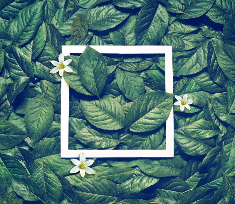 Creative Layout Made of Leaves with Paper Frame. Flat Lay. Nature ...