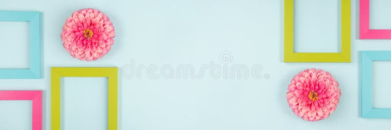 Creative Layout Made of One Flower and Bright Colored Frames. Flat Lay ...