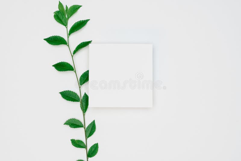 Creative Layout Made of Papers and Leaves Flat Lay. Minimal Nature ...