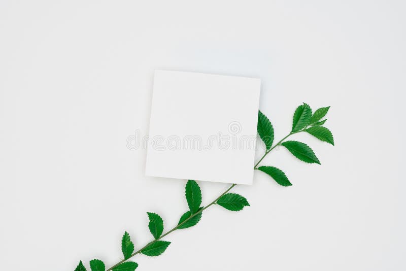 Creative Layout Made of Papers and Leaves Flat Lay. Minimal Nature ...