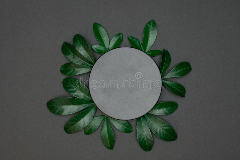 Creative Layout Made of Papers and Leaves Flat Lay. Minimal Nature ...