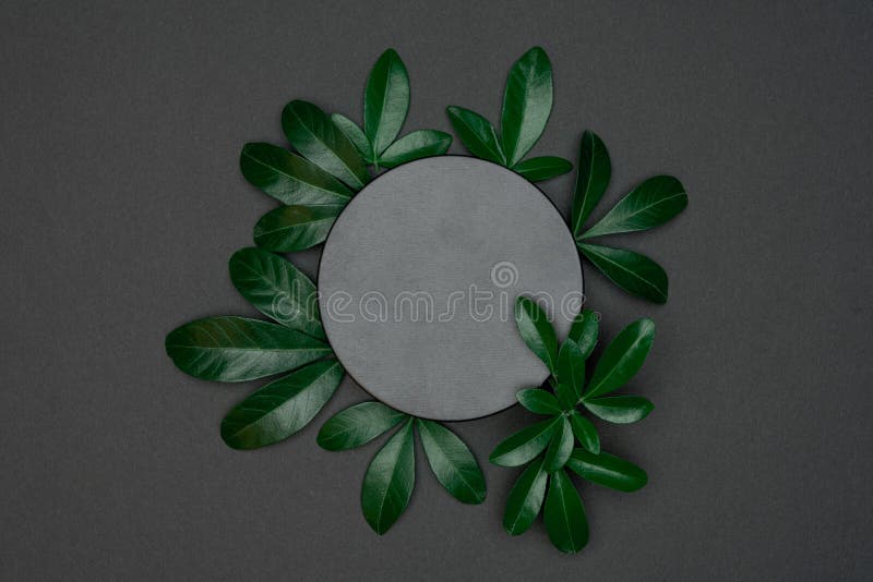 Creative Layout Made of Papers and Leaves Flat Lay. Minimal Nature ...