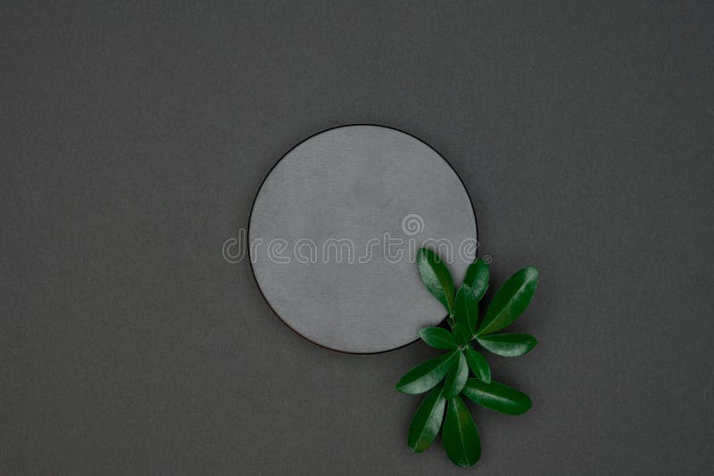 Creative Layout Made of Papers and Leaves Flat Lay. Minimal Nature ...