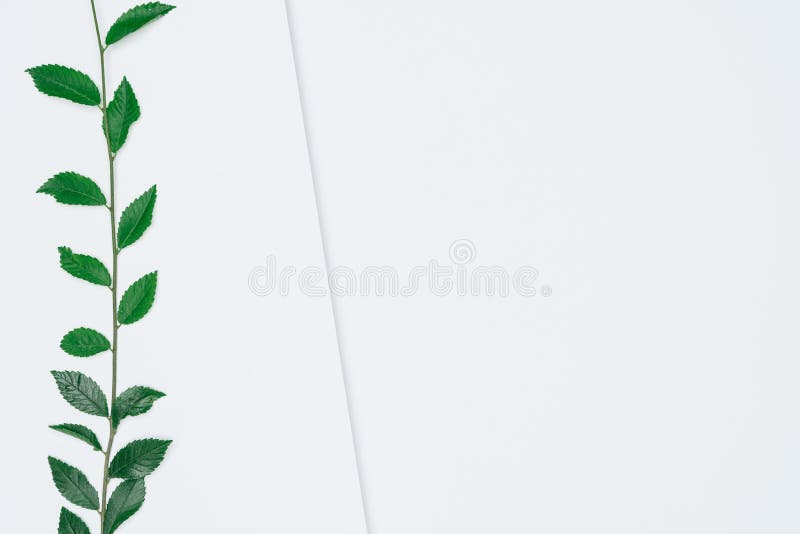 Creative Layout Made of Papers and Leaves Flat Lay. Minimal Nature ...