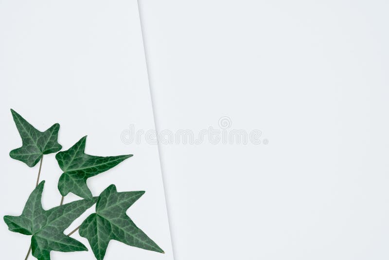 Creative Layout Made of Papers and Leaves Flat Lay. Minimal Nature ...