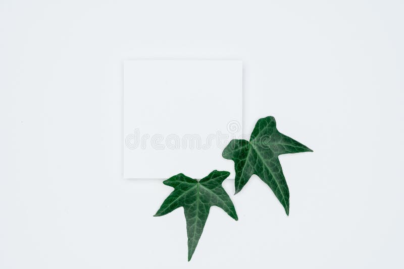 Creative Layout Made of Papers and Leaves Flat Lay. Minimal Nature ...