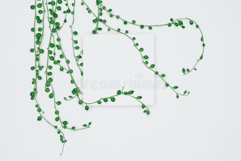 Creative Layout Made of Papers and Leaves Flat Lay. Minimal Nature ...