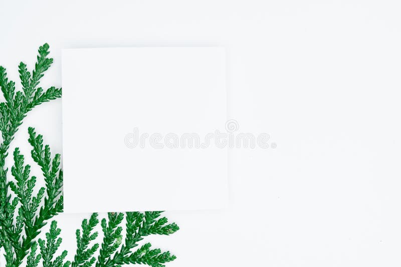 Creative Layout Made of Papers and Leaves Flat Lay. Minimal Nature ...