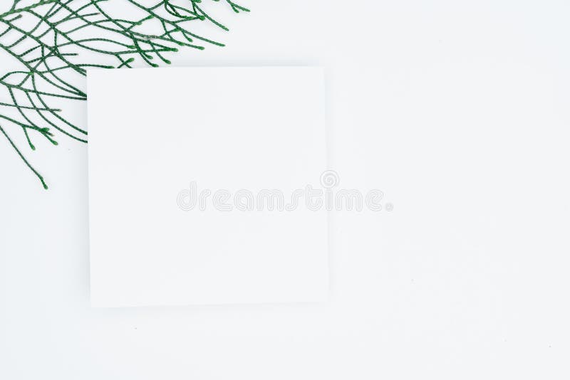 Creative Layout Made of Papers and Leaves Flat Lay. Minimal Nature ...