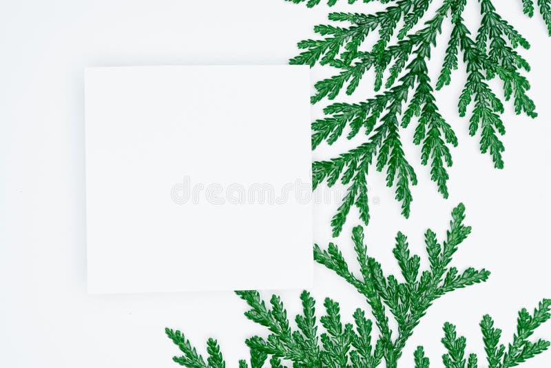 Creative Layout Made of Papers and Leaves Flat Lay. Minimal Nature ...