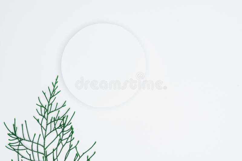 Creative Layout Made of Papers and Leaves Flat Lay. Minimal Nature ...