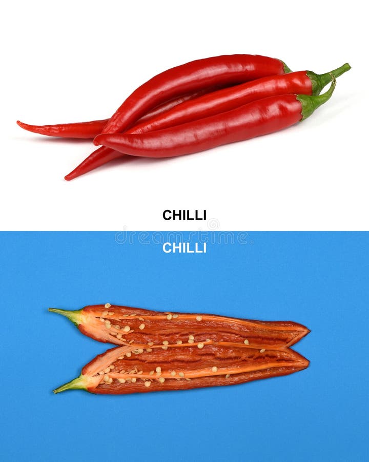 Creative Layout Made of Red Chilli Peppers Stock Image - Image of ...
