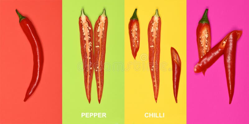 Creative Layout Made of Red Chilli Peppers Stock Photo - Image of ...