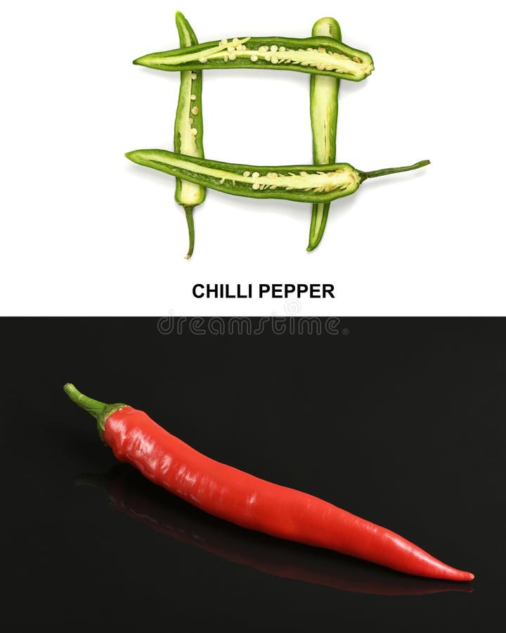 Creative Layout Made of Red Chilli Peppers Stock Image - Image of ...