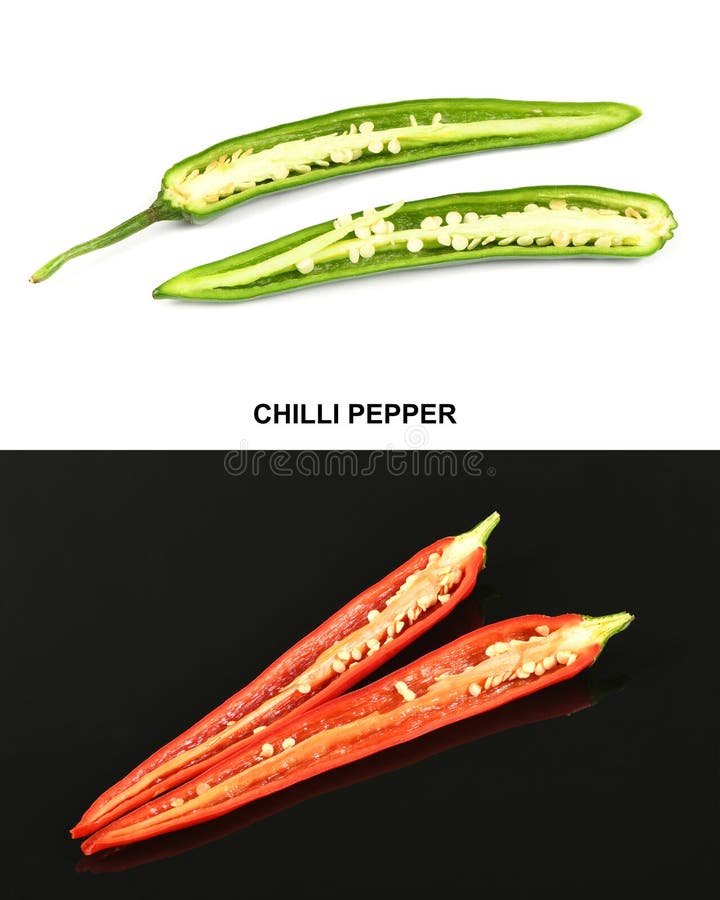 Creative Layout Made of Red Chilli Peppers Stock Photo - Image of chili ...